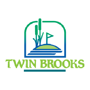 St. Pete Golf | Twin Brooks